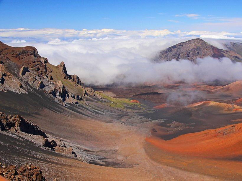 A New Species of Water Bear First Collected by Sam ‘Ohu Gon Named After Him