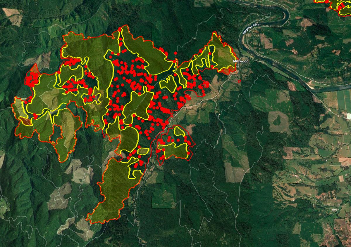 Containment of Tyee Ridge Complex Grows to 21%, No Structures Lost