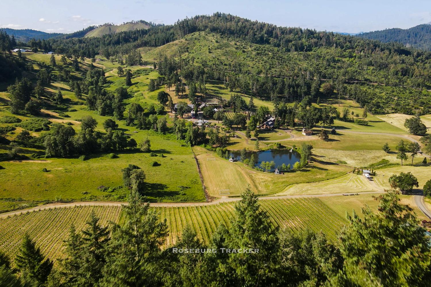 Spring Season Begins at Reustle Prayer Rock Vineyards